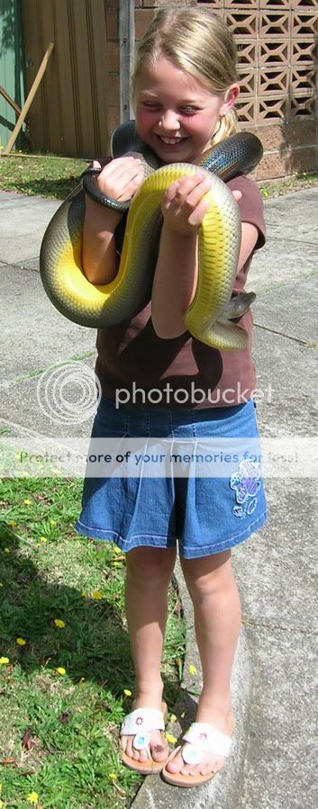 Water Python Pictures! | Aussie Pythons & Snakes Forum