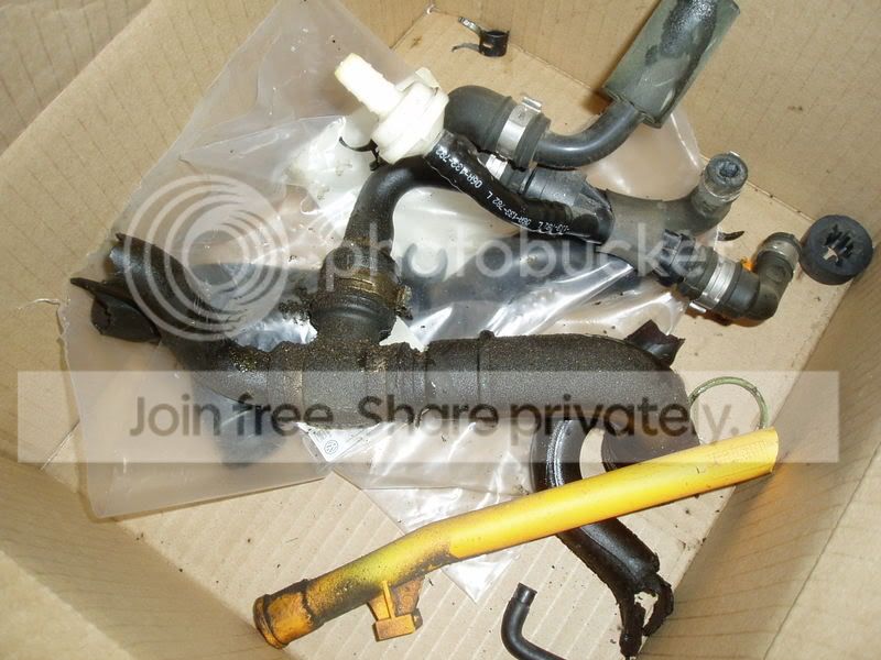 problems cold starting car just dies | VW Vortex - Volkswagen Forum