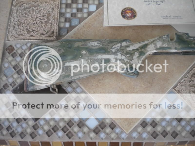 Noob question about Carrier Staking - 24hourcampfire