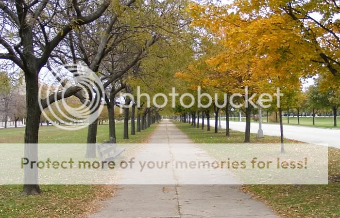 The Boulevard System of Chicago - City Photos - USA/World - UrbanOhio.com