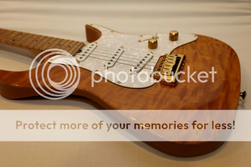 Zion Bent T (super strat)?? Anyone have experience on thesE? - Electric ...