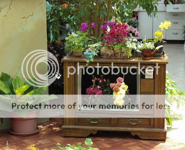 Jimmy Jet And His TV Set | Maverick Mist