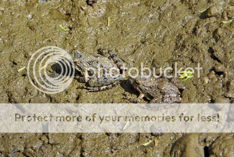 Spring in Ohio - PentaxForums.com