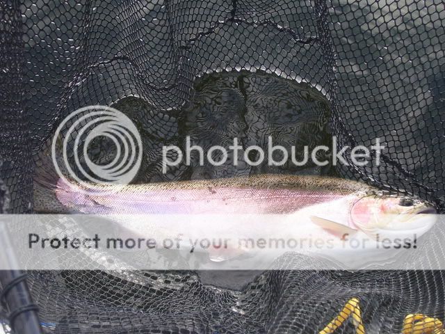 Fishing above the 53TH | Manitoba Fishing Forum