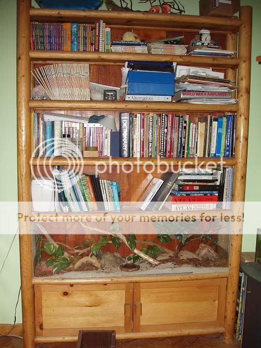 diy enclosure | Gecko Forums