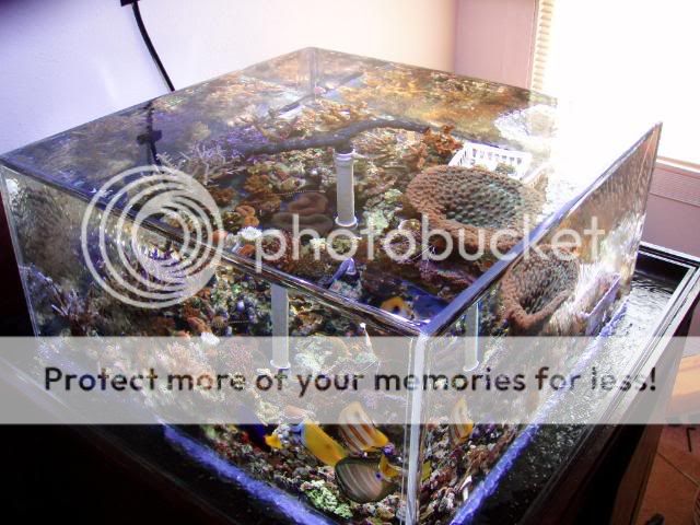 Oceanic 57 Gal Tank Stand