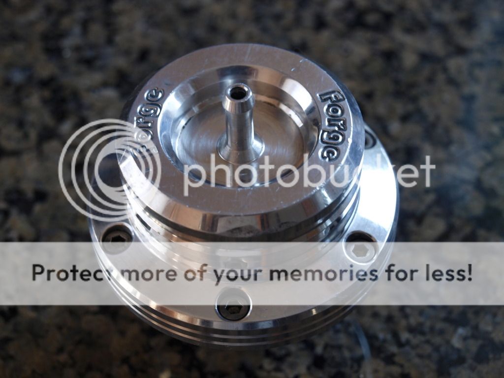 fs: forge 004 | VW Vortex - Volkswagen Forum